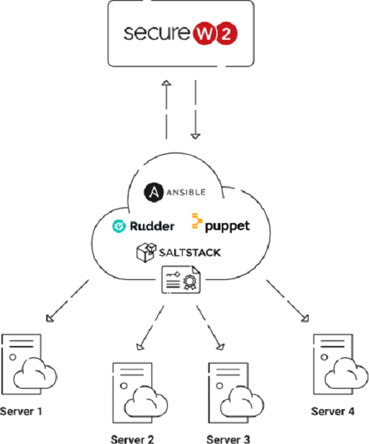 Server Certificates: Essential for Web Security & Trust