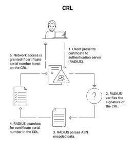OCSP vs CRL: Best Way to Revoke Certificates in PKI