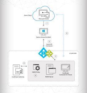 Microsoft Network Device Enrollment Service: Do You Need It?