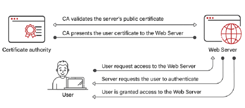 How Does Wi-Fi Certificate Authentication Work?