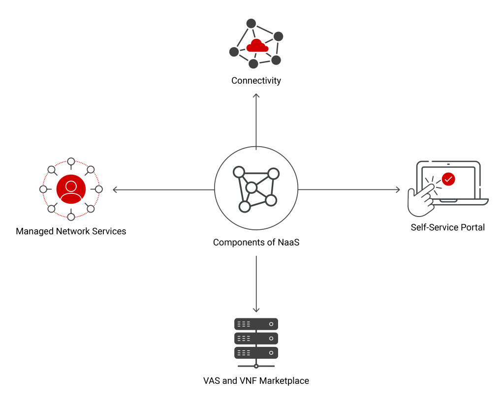 What is NaaS and How Does It Enhance Security?