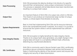 2024 Complete Guide to SHA Encryption Types