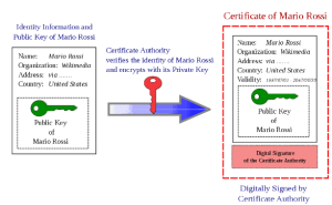 Understanding PKI Certificates